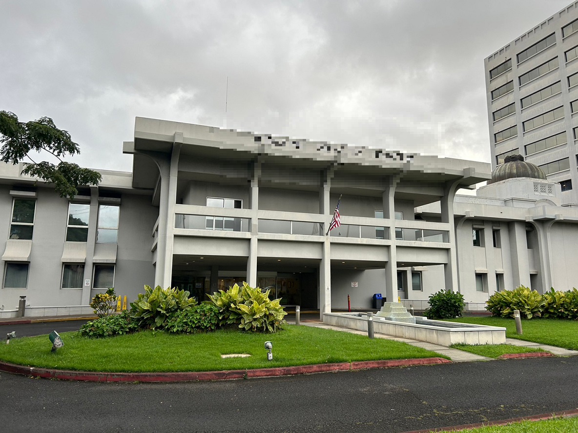 kuakini mosaic | Medichen